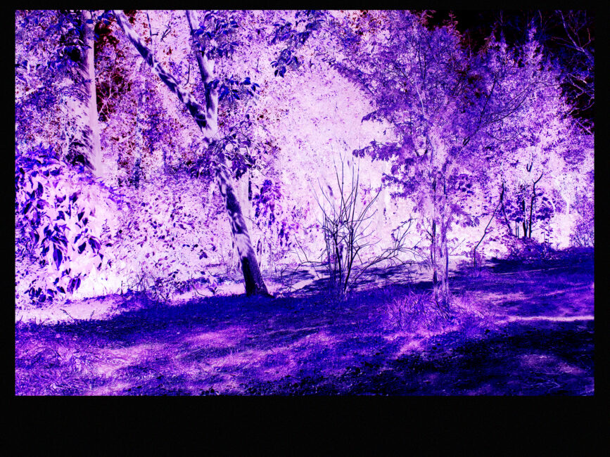 HALLUCINATION OF NATURE | Ατομική έκθεση φωτογραφίας του Alexander ...